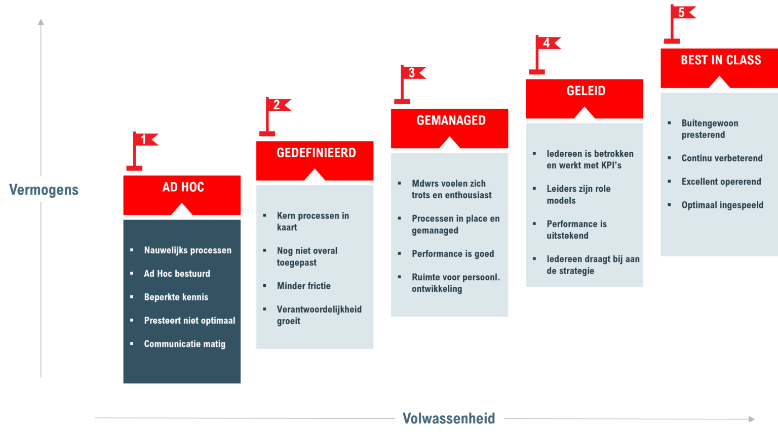 Het Business Maturity Model – Dutch Kahuna